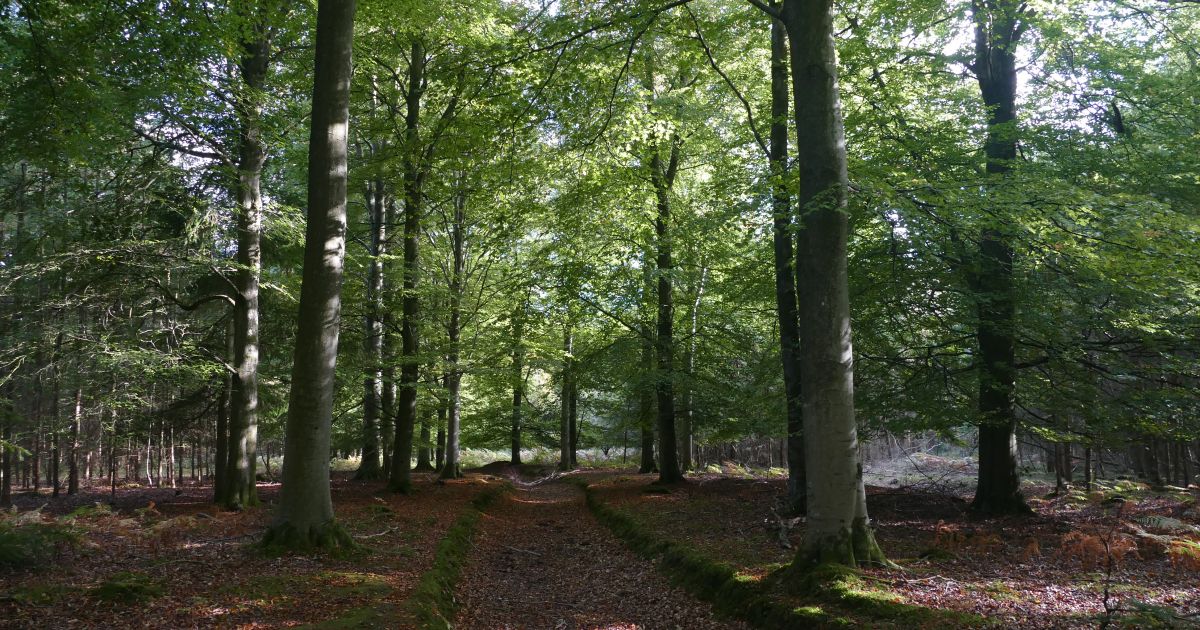 Mortimer AGM Walk - Ramblers